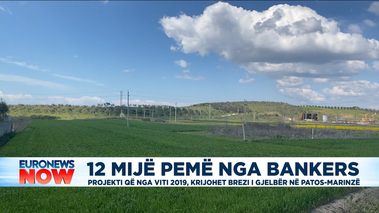 12.000 trees planted near Patos-Marinza oil-field to improve the ...