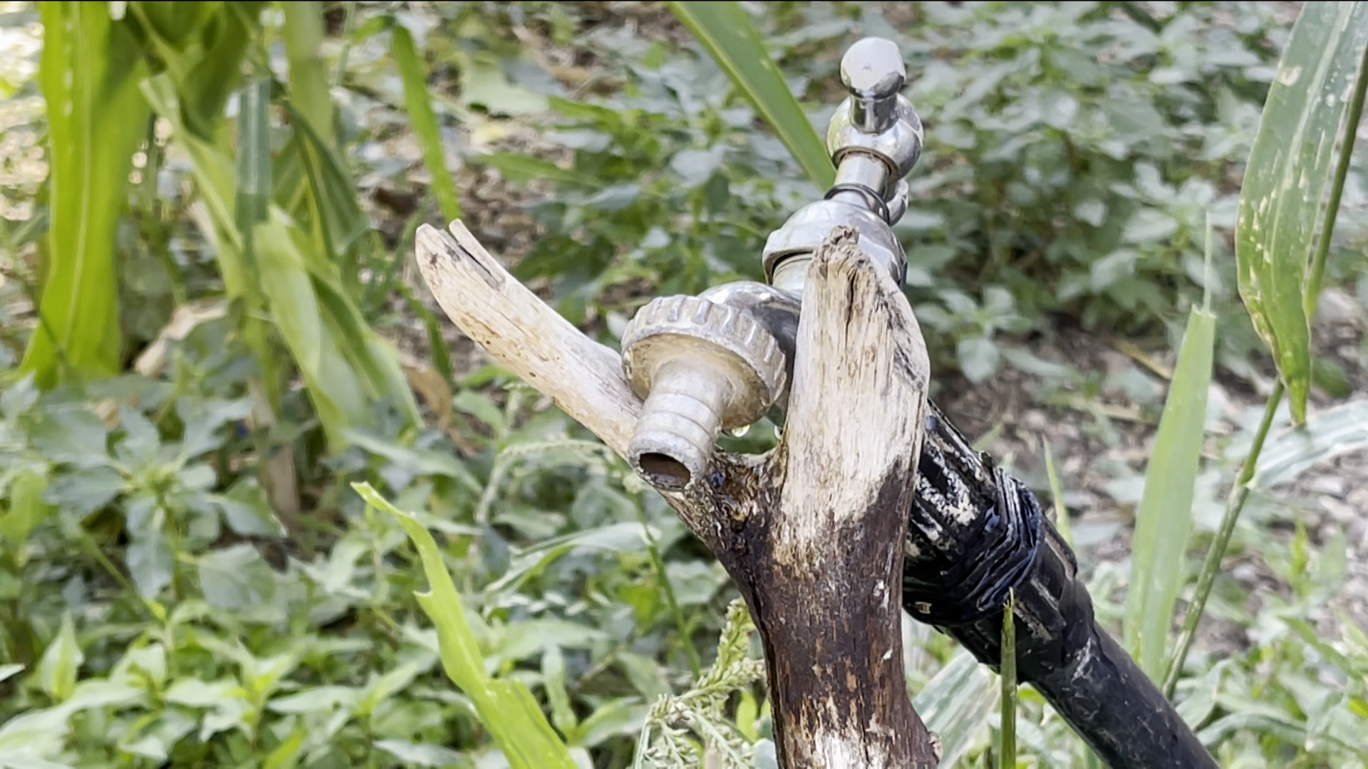 Residents of Rajca complain of water shortage - Euronews Albania