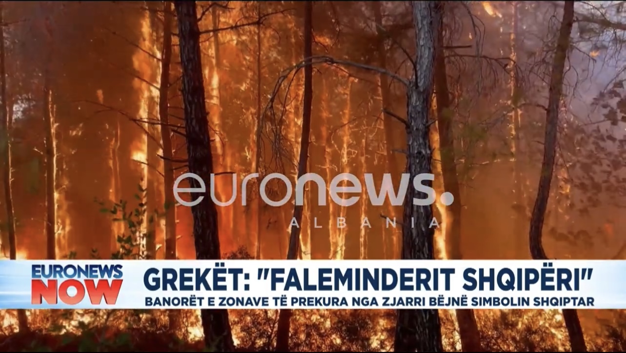 Greeks of areas affected by fire thank Albania for their help ...