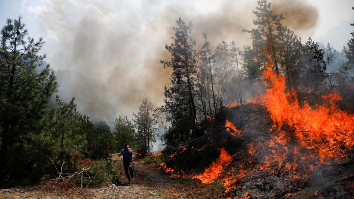 Six fire hotspots still active throughout Albania - Euronews Albania