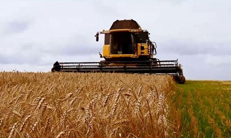 Kroaci-Ukrainë akord për grurin