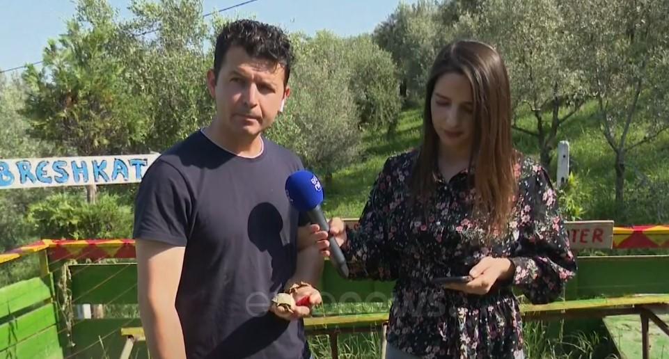 Breshkat janë fatsjellëse, kurojnë dhe astmën