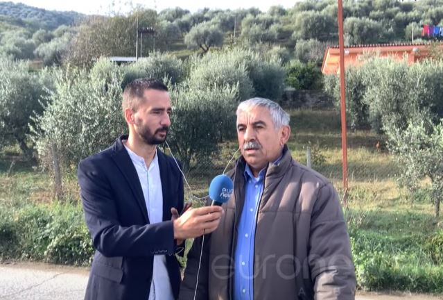 Fermeri nga Berati: Vajin e ullirit e eksportojmë, shitet me logo italiane