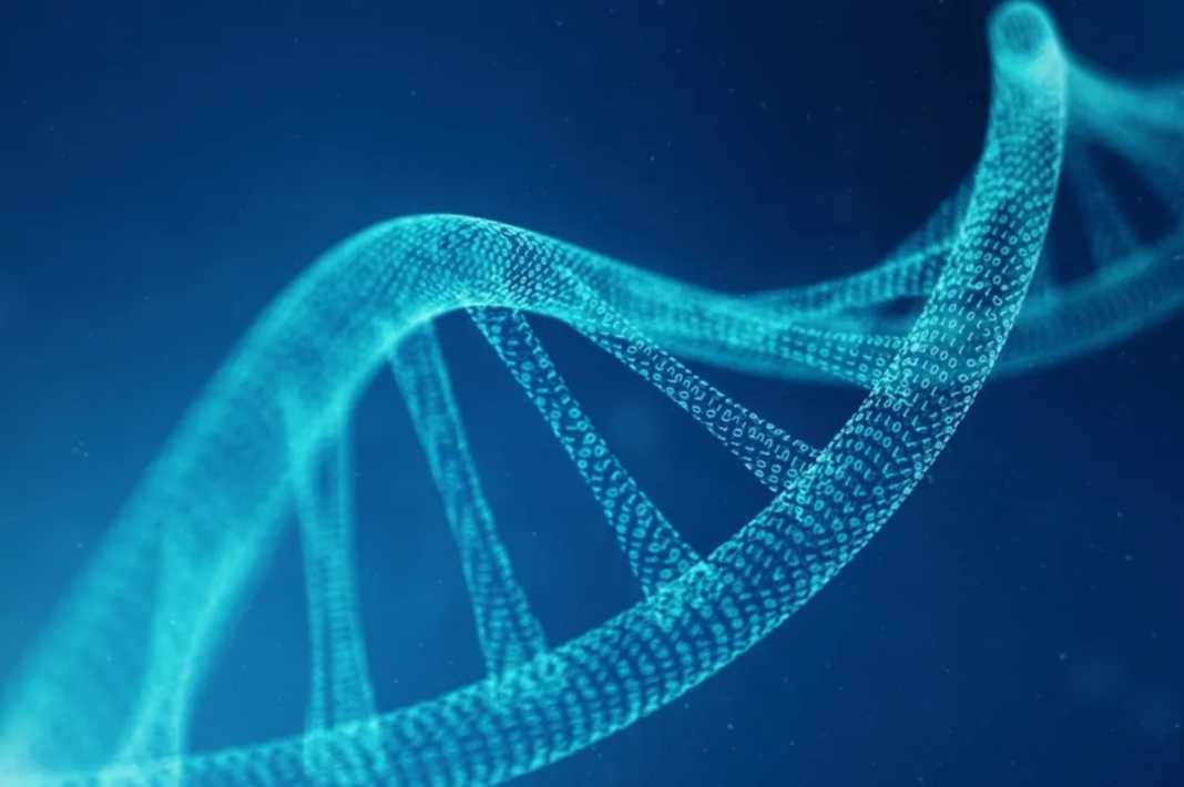 Nis ndërtimi i ADN-së së njeriut në laborator